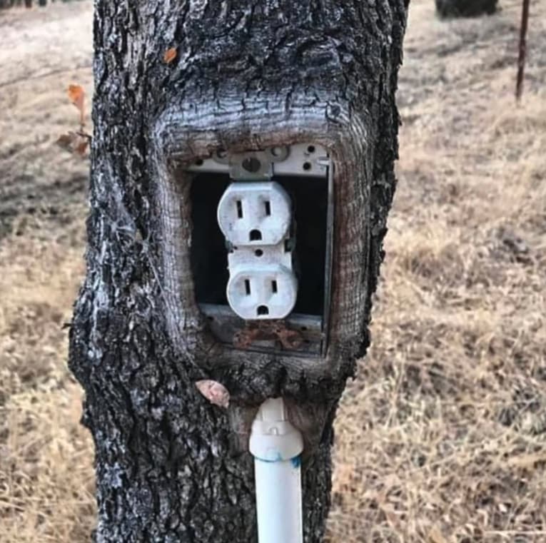 40 Weird Pictures Of Trees Eating Things People Left Behind