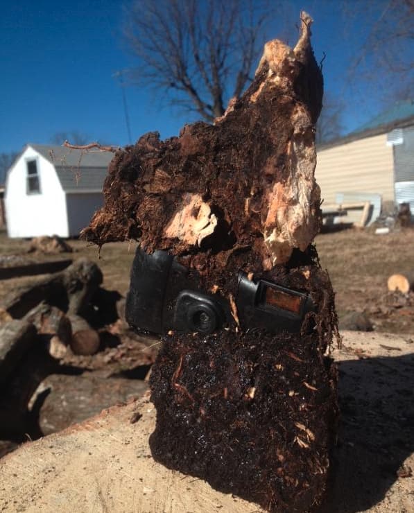40 Weird Pictures Of Trees Eating Things People Left Behind