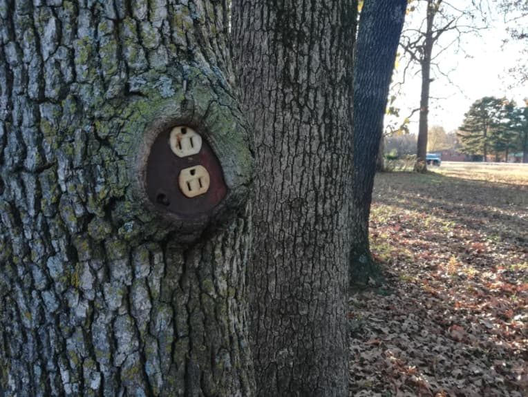 40 Weird Pictures Of Trees Eating Things People Left Behind