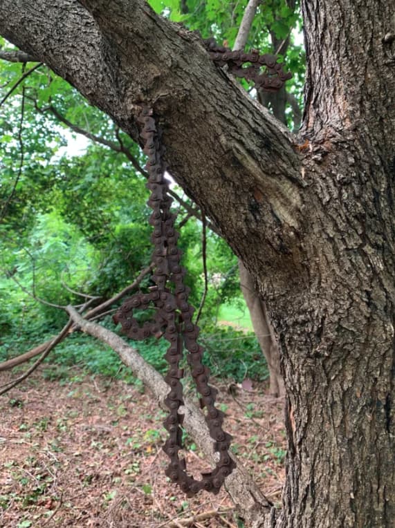 40 Weird Pictures Of Trees Eating Things People Left Behind
