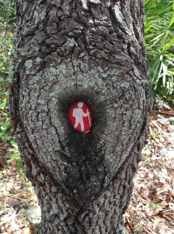 40 Weird Pictures Of Trees Eating Things People Left Behind