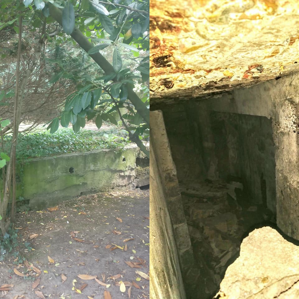 25 Creepy Backyard Discoveries That Made Us Say, 'Yikes!'