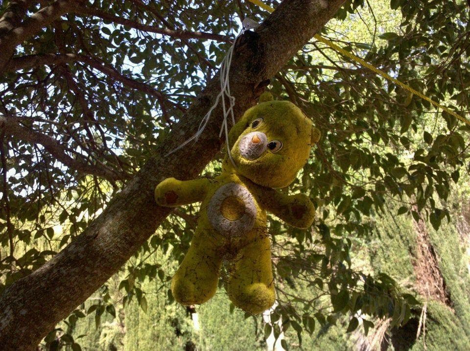 25 Creepy Backyard Discoveries That Made Us Say, 'Yikes!'