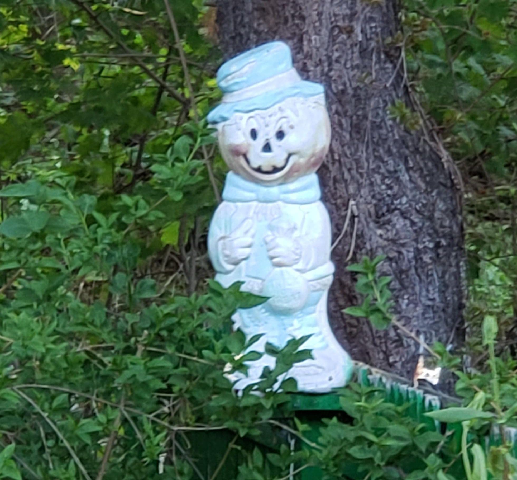 25 Creepy Backyard Discoveries That Made Us Say, 'Yikes!'