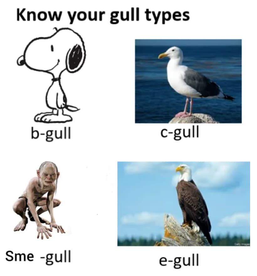 25 Memes That Prove Gollum Is Everyone's Favorite 'Lord Of The Rings ...