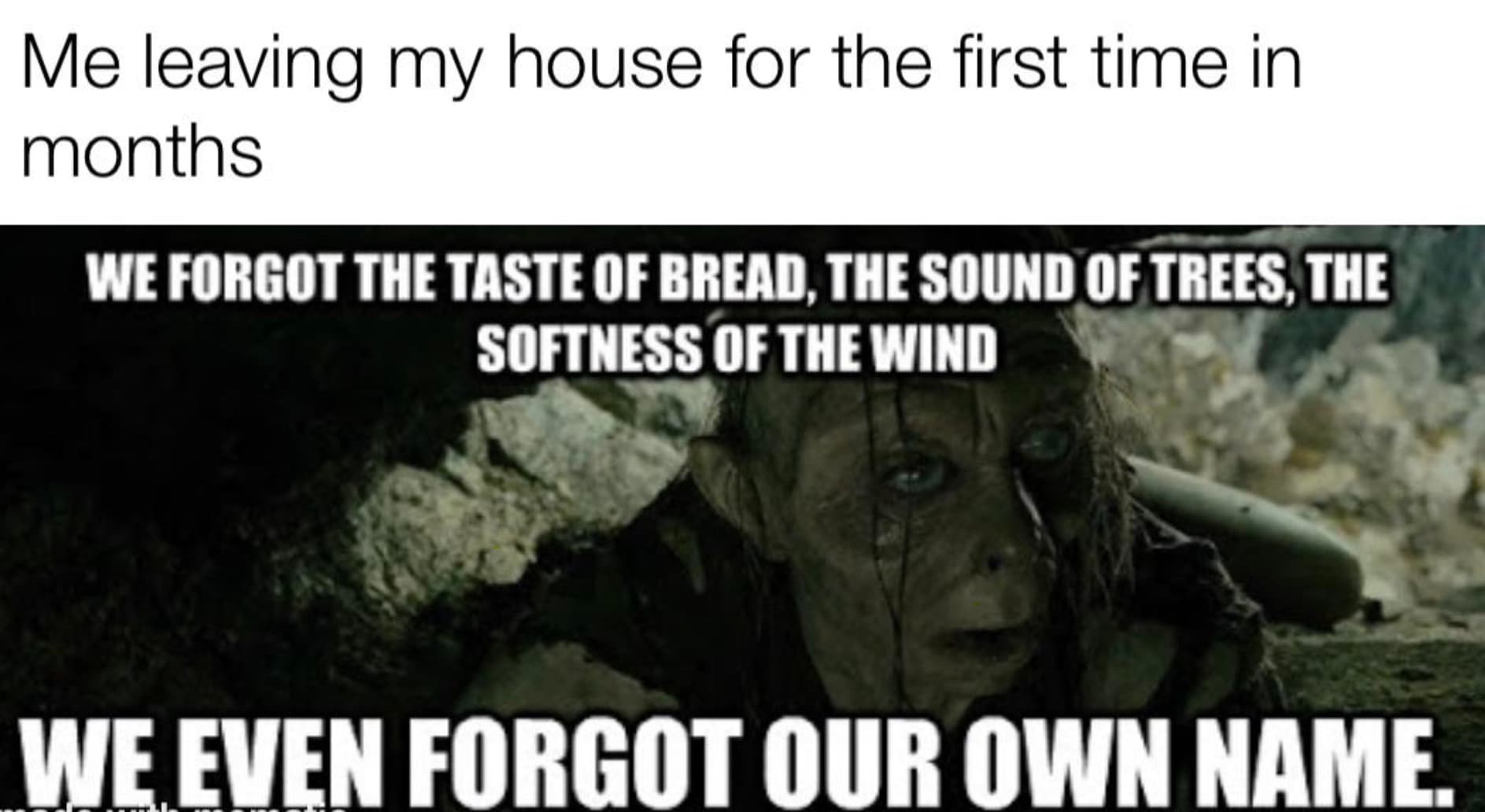 25 Memes That Prove Gollum Is Everyone's Favorite 'Lord Of The Rings ...
