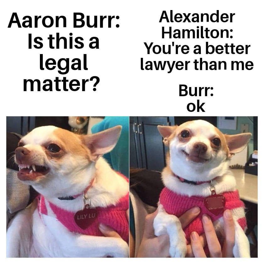 22 Aaron Burr Memes For Hamilton Fans Who Are Willing To Wait For It