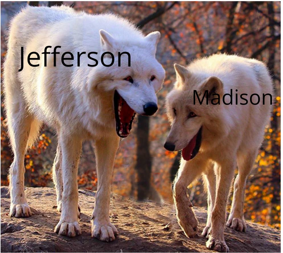 24 Thomas Jefferson Memes For Hamilton Fans Who Wonder 'What Did I Miss?'