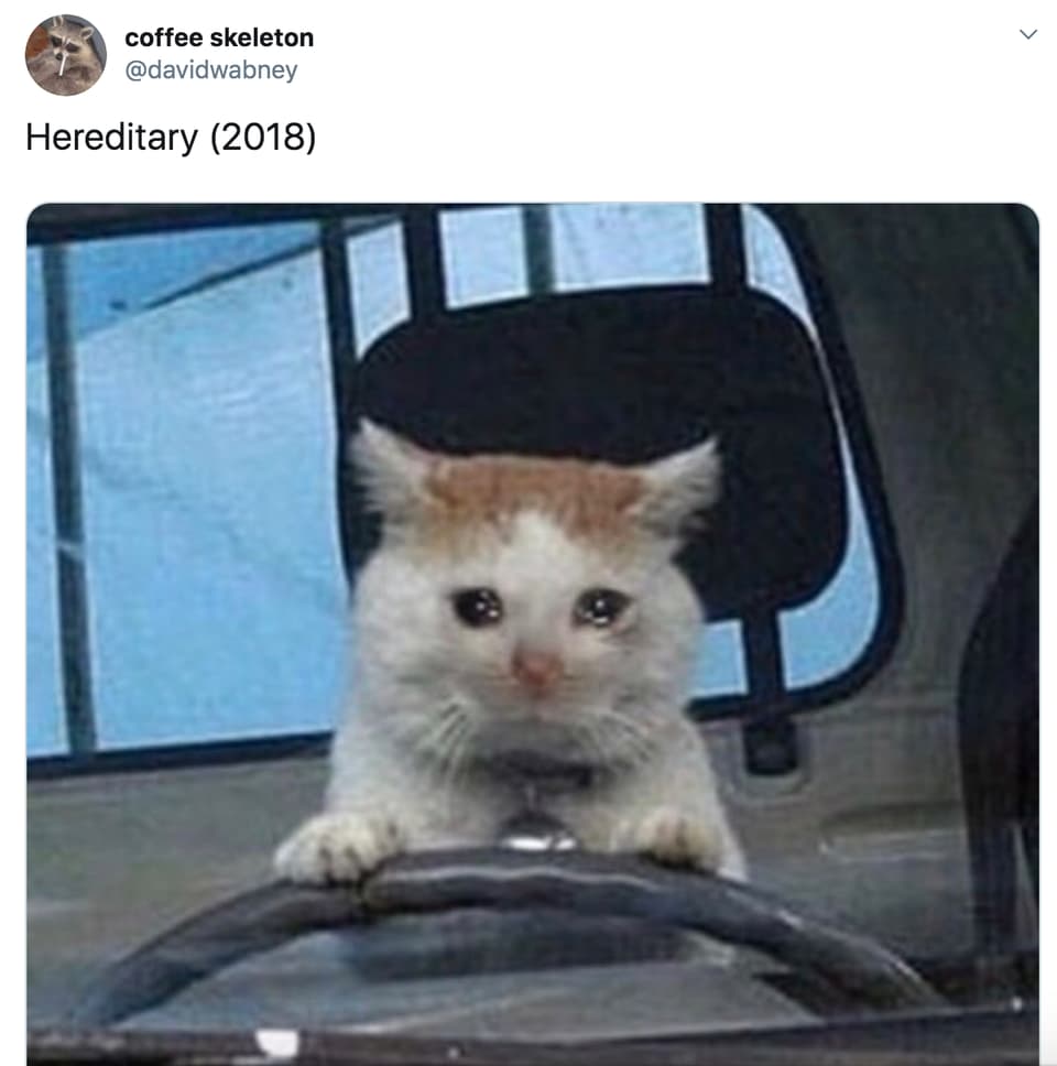 23 Hilarious 'Hereditary' Memes To Help Distract You From How ...