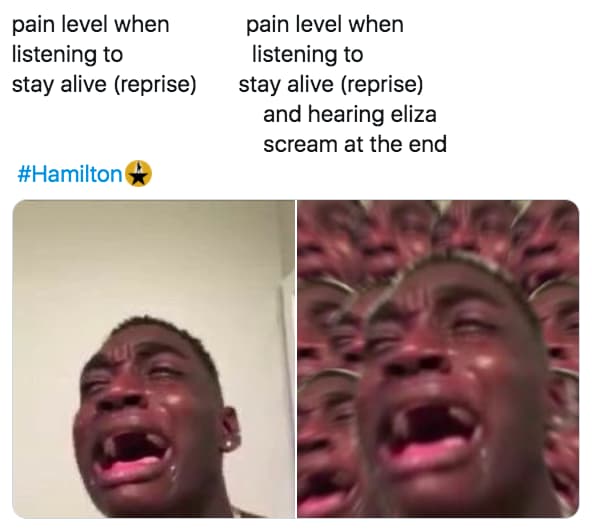 Eliza Hamilton Memes For Fans Who Think She Is The Heart Of The Show