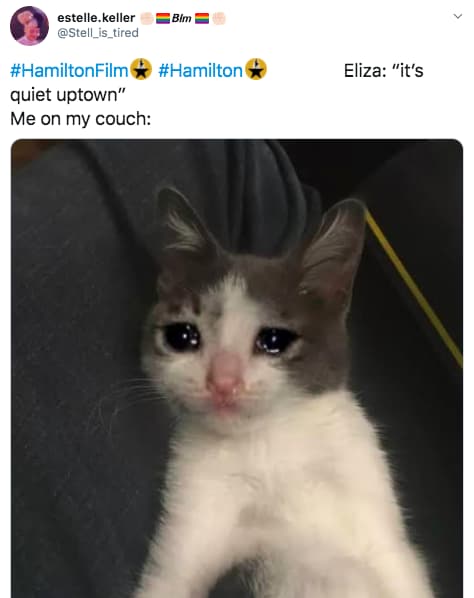 Eliza Hamilton Memes For Fans Who Think She Is The Heart Of The Show