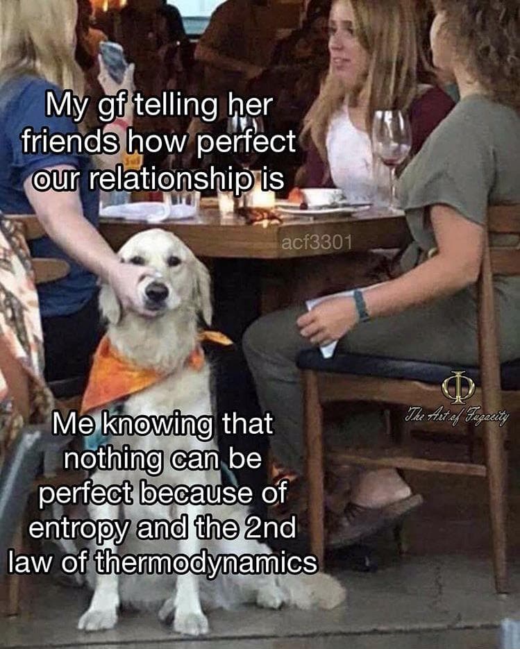 21 Funny Memes About Physics That Made Us Feel Smart For Understanding Them