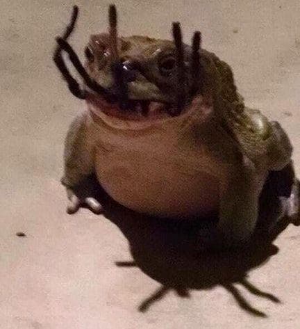 18 Pictures That Prove Nature Can Be Scary As Heck