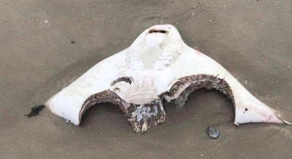 18 Pictures That Prove Nature Can Be Scary As Heck