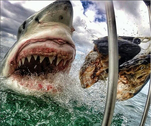 18 Pictures That Prove Nature Can Be Scary As Heck