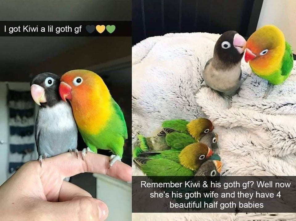 30 Of The Most Wholesome Posts We Found This Month That Made Us Smile