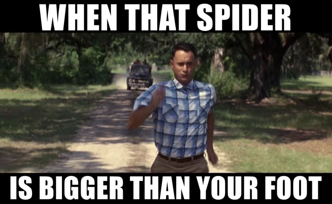 Wholesome Tom Hanks Memes To Make Your Day A Little Brighter