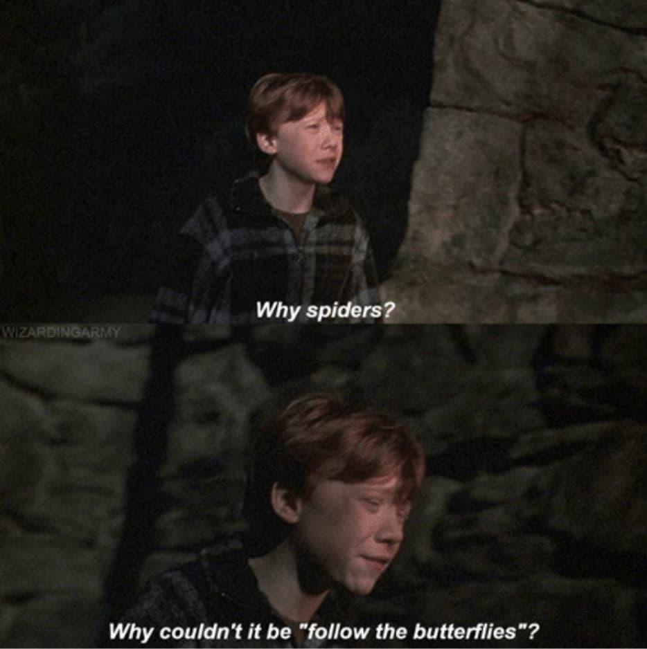 Ron Weasley Quotes Spiders