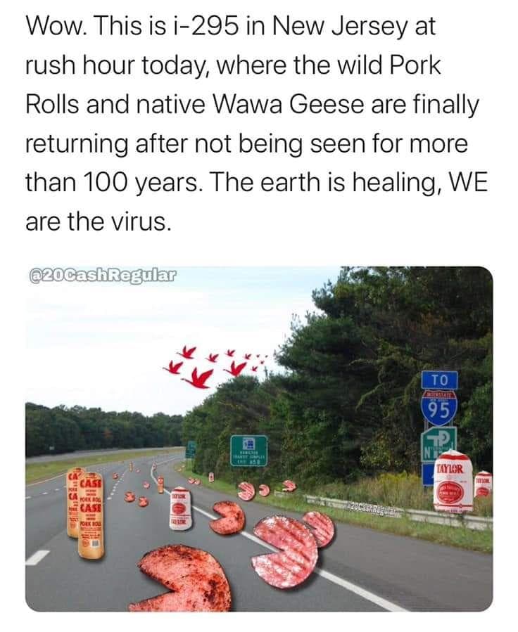 26 Memes That Made Us Feel Right At Home In New Jersey