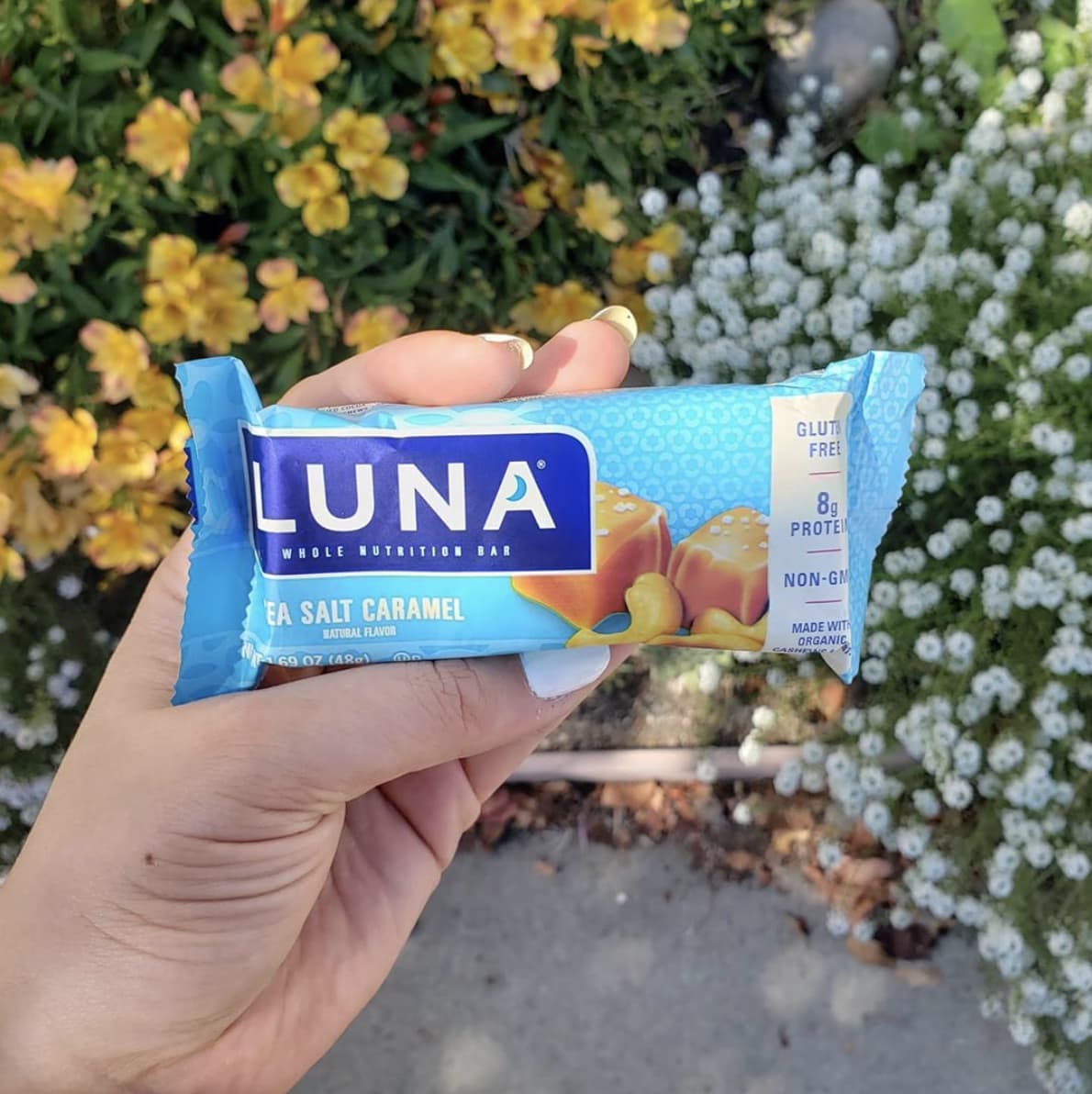 Ranking All 17 LUNA Bar Flavors, Best To Worst