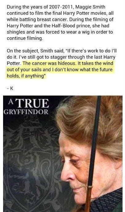Memes That Prove Prof. McGonagall Should Be The Head Of Everything