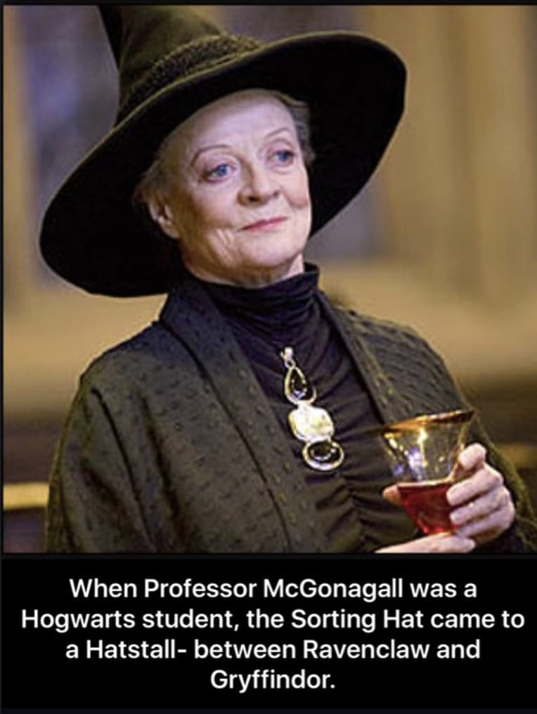 Memes That Prove Prof. McGonagall Should Be The Head Of Everything