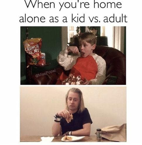 15 Hilarious 'Home Alone' Memes That Made Us Nostalgic For The ...