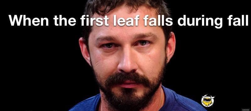 24 Wholesome Shia LaBeouf Memes To Brighten Your Day