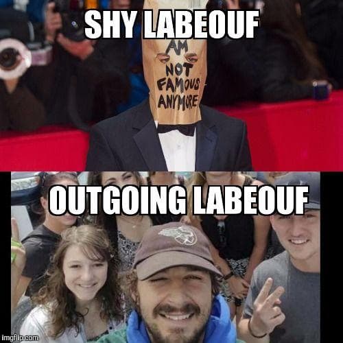 24 Wholesome Shia LaBeouf Memes To Brighten Your Day