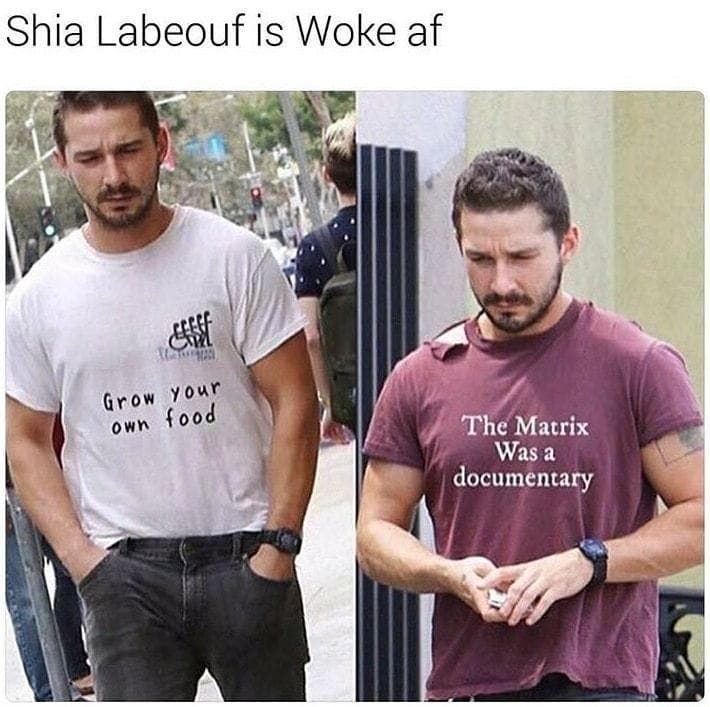 24 Wholesome Shia LaBeouf Memes To Brighten Your Day