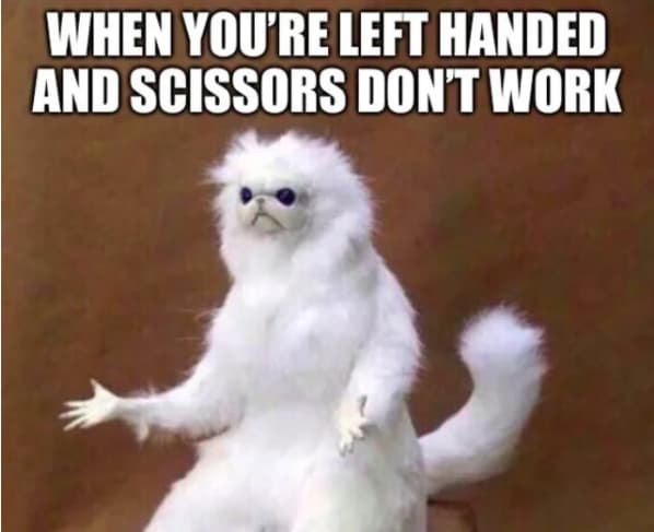 Relatable Memes That Only Left-Handed People Will Understand