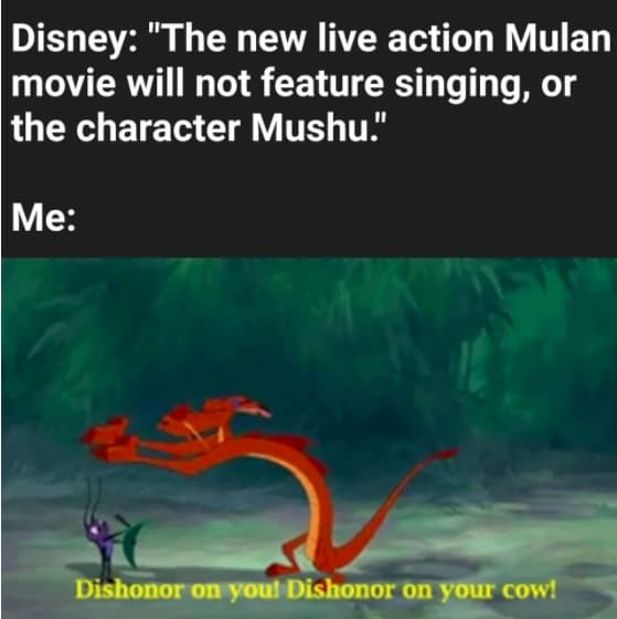 'Mulan' Memes That Prove It Is One Of The Most Underrated Disney Movies