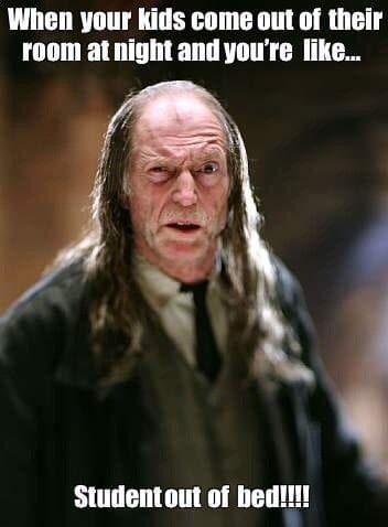 Argus Filch Harry Potter Memes