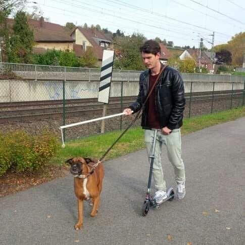 17 Hilarious Images That Can Only Be Explained With Looney Tunes Logic