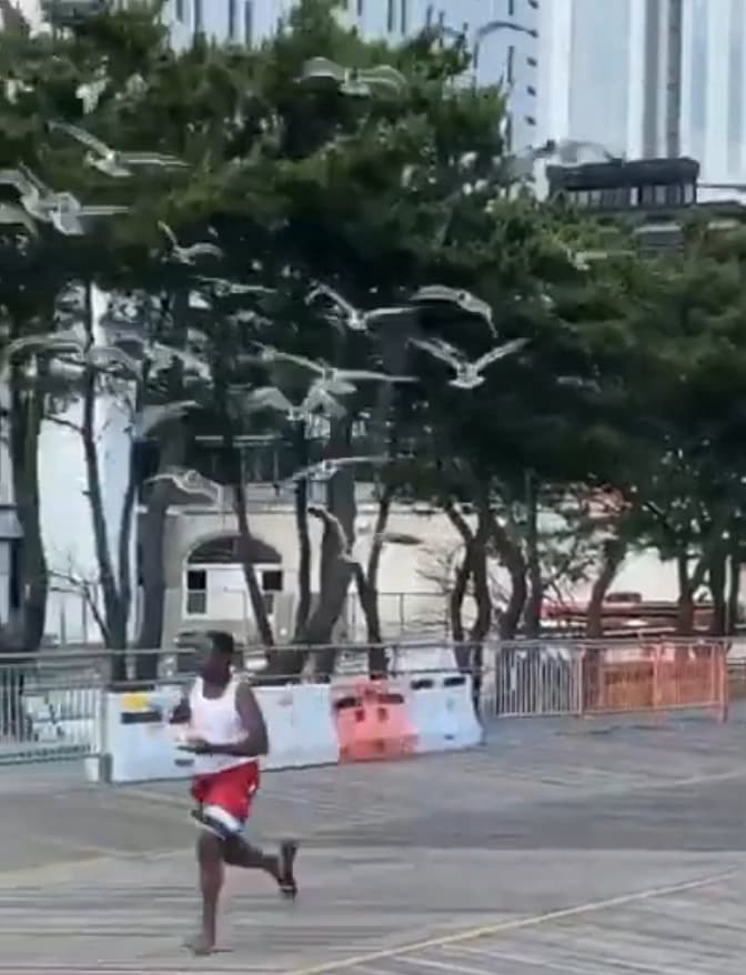 17 Hilarious Images That Can Only Be Explained With Looney Tunes Logic