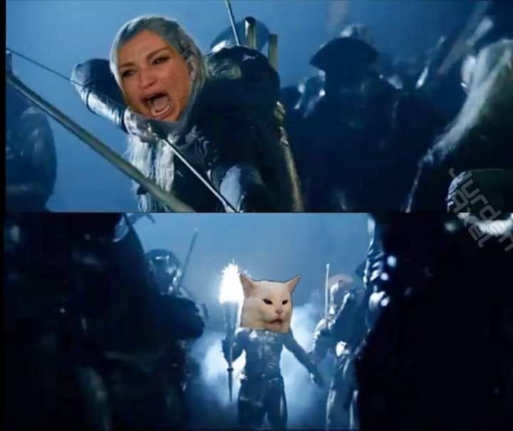 21 Legolas Memes That Are As Majestic As His Hair