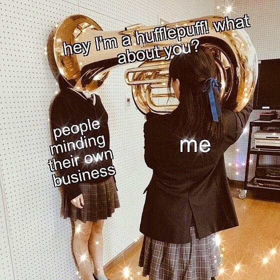 22 Harry Potter Memes For The Proud Hufflepuff