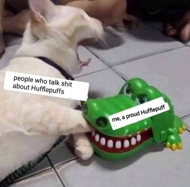 22 Harry Potter Memes For The Proud Hufflepuff