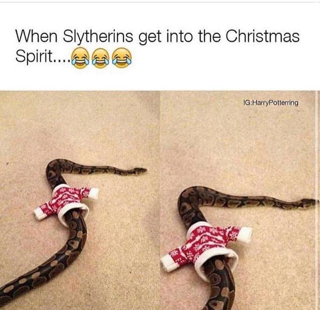 24 Slytherin Memes We Will Be Telling Our Father About