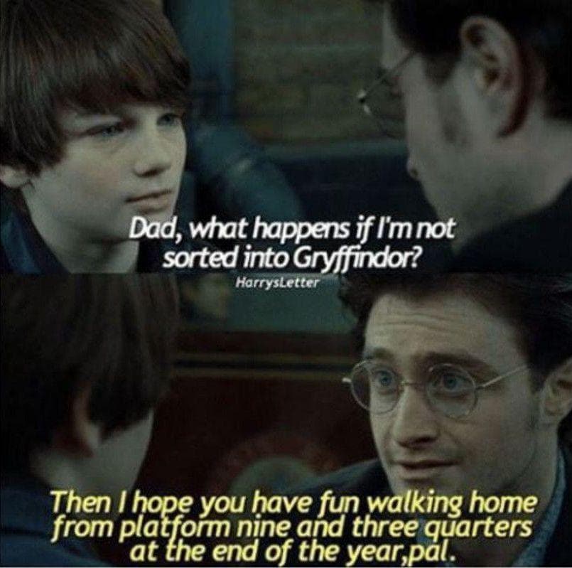 18 Harry Potter Memes Every Gryffindor Can Relate To