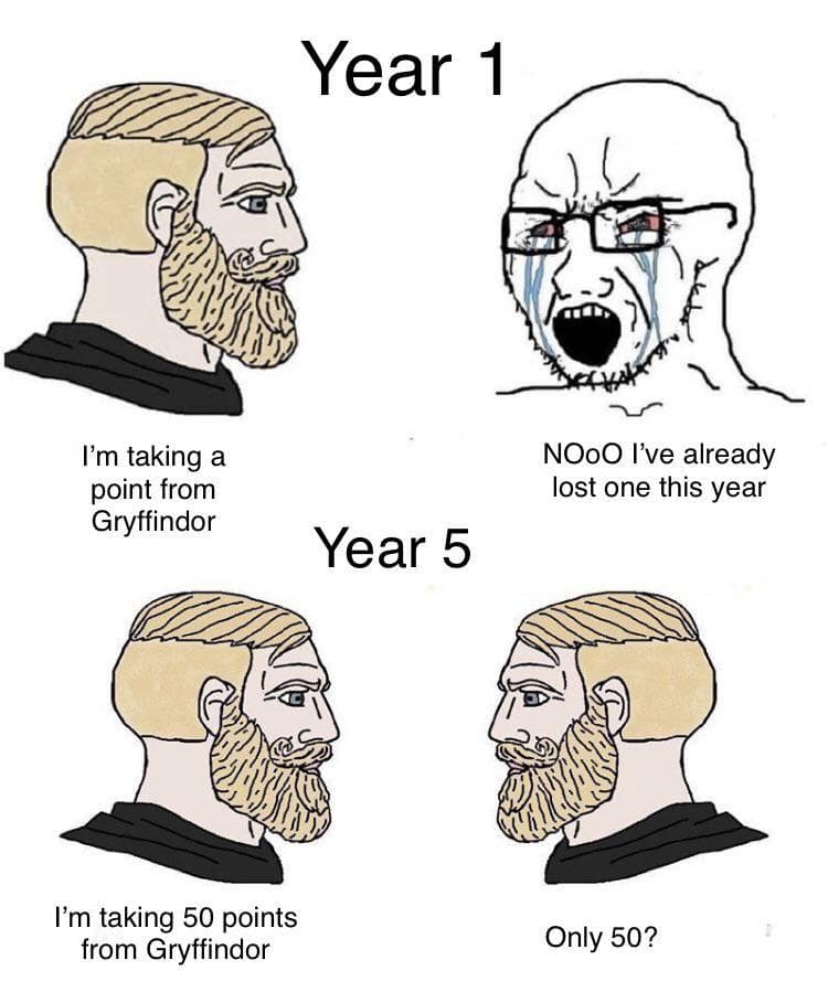 18 Harry Potter Memes Every Gryffindor Can Relate To