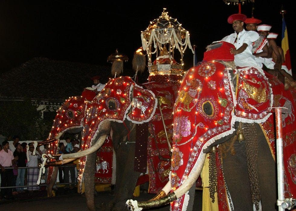 15 Animals Worshipped Through The Ages