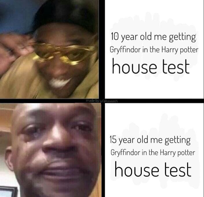 18 Harry Potter Memes Every Gryffindor Can Relate To