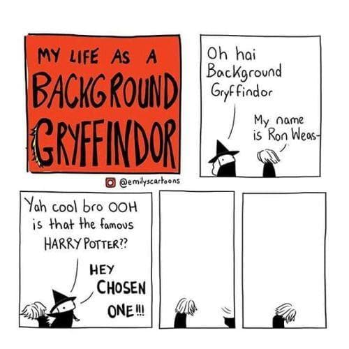 18 Harry Potter Memes Every Gryffindor Can Relate To