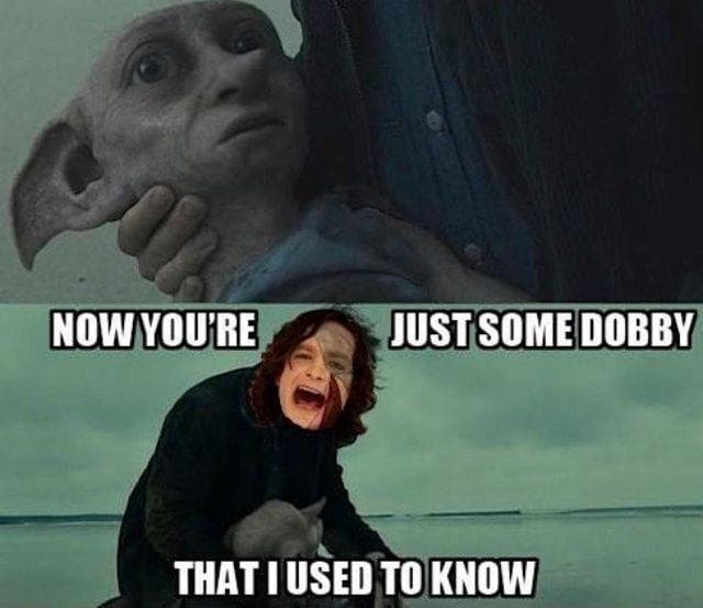 18 Memes For 'Harry Potter' Fans Who Thought Dobby Was The Real Star