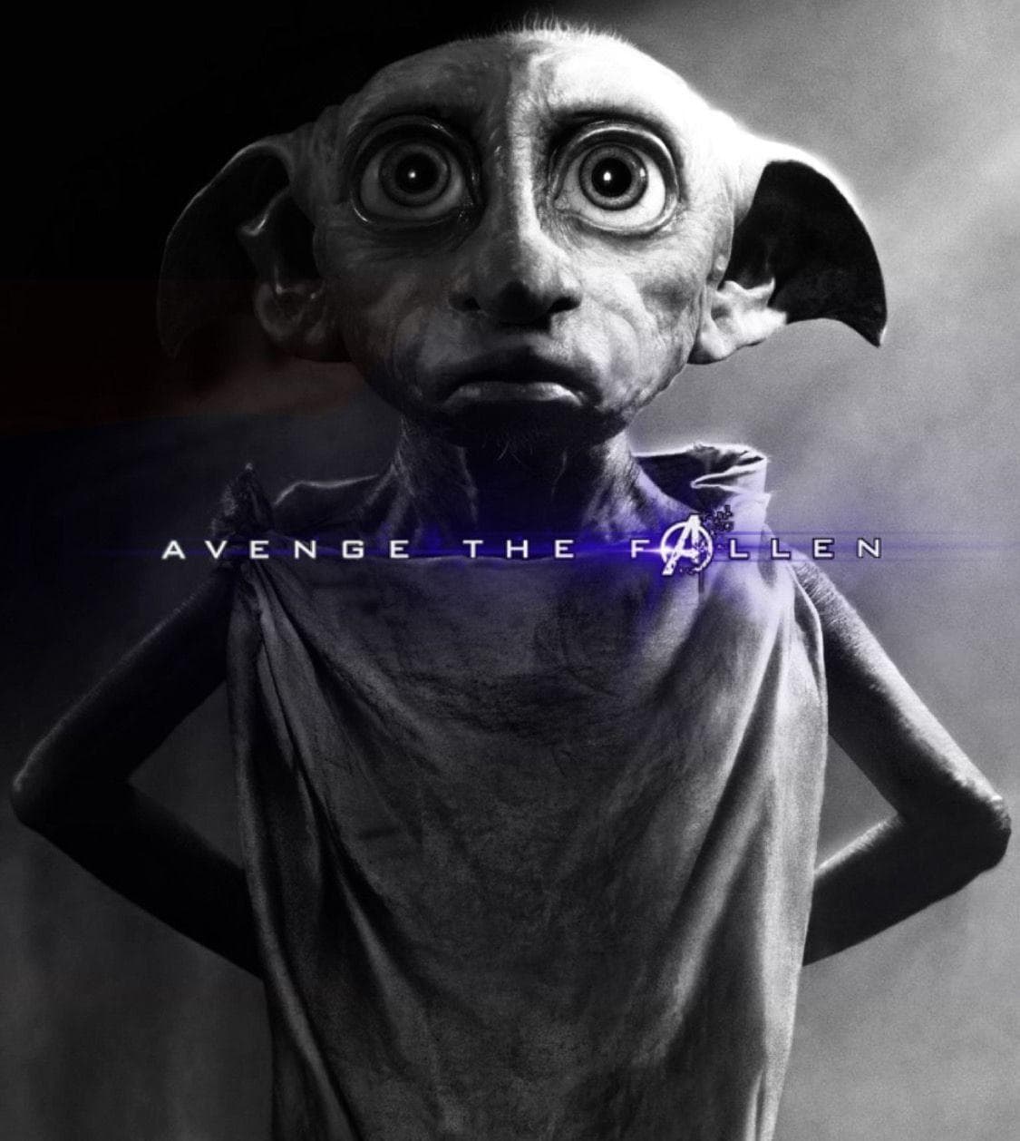 18 Memes For 'Harry Potter' Fans Who Thought Dobby Was The Real Star