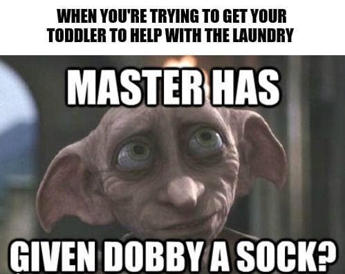 18 Memes For 'Harry Potter' Fans Who Thought Dobby Was The Real Star