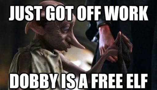 18 Memes For 'Harry Potter' Fans Who Thought Dobby Was The Real Star