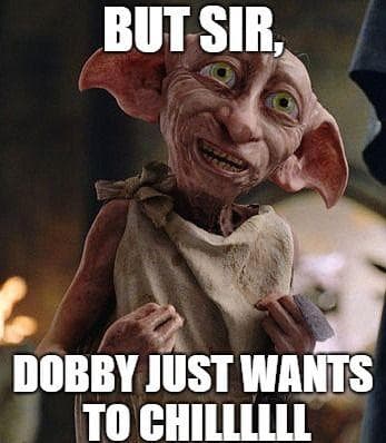 18 Memes For 'Harry Potter' Fans Who Thought Dobby Was The Real Star