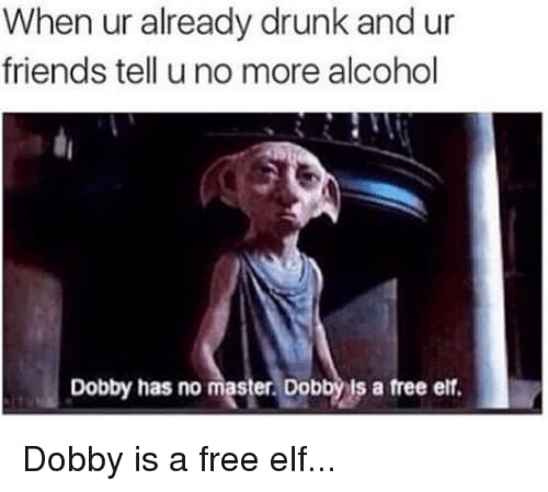 18 Memes For 'Harry Potter' Fans Who Thought Dobby Was The Real Star